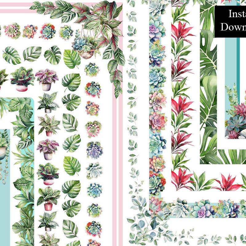 Fern Botanical Borders - Etsy