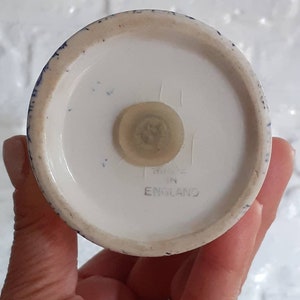 Burleigh Frederick Rathbone Burgess Pepper Pot Rare Find - Etsy UK