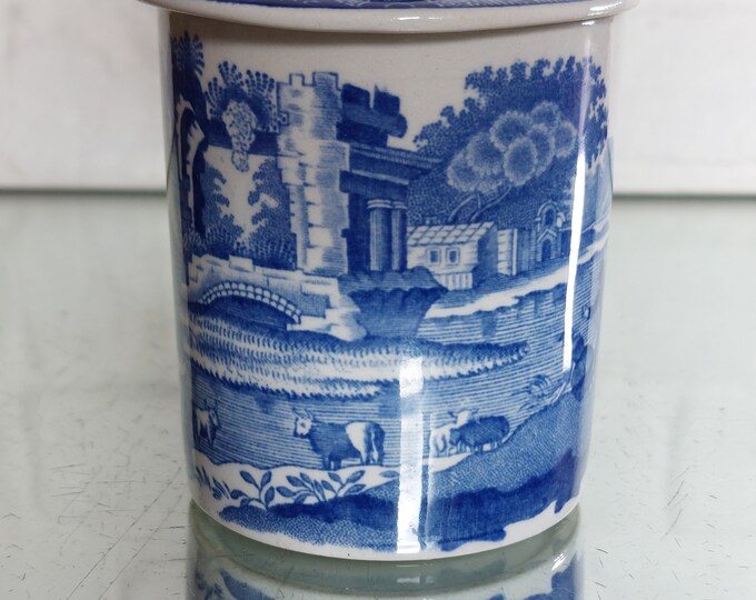 Rare Copeland Spode Italian Lidded Mustard Pot-jar C1920 - Etsy