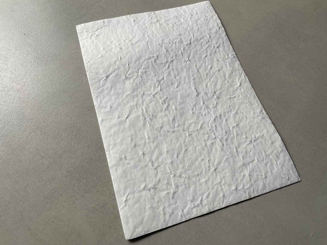 Lot of 10 A4 Sheets of Seeded Paper 120gr. Paper Sown Field Flower ...