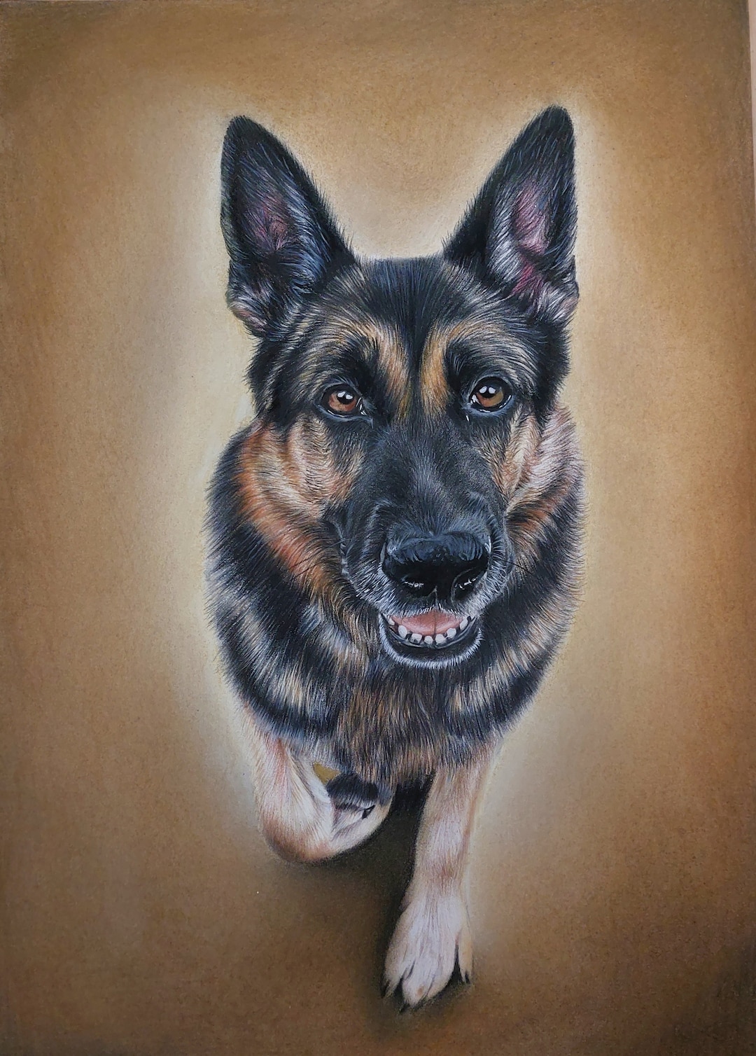 Custom Dog Art,pet Portraits, Custom Dog Paintings,realistic Dog Pencil ...