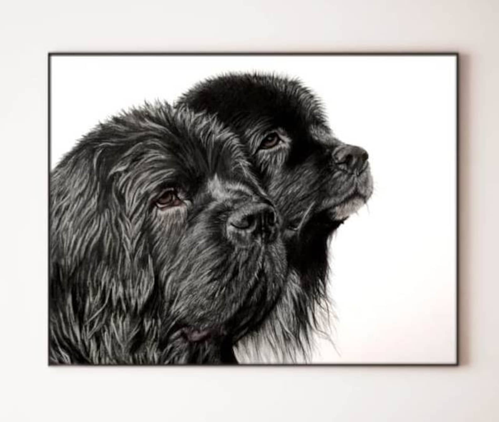 Newfoundland Dog Artcustom Dog Drawingnewfoundland Pencil | Etsy