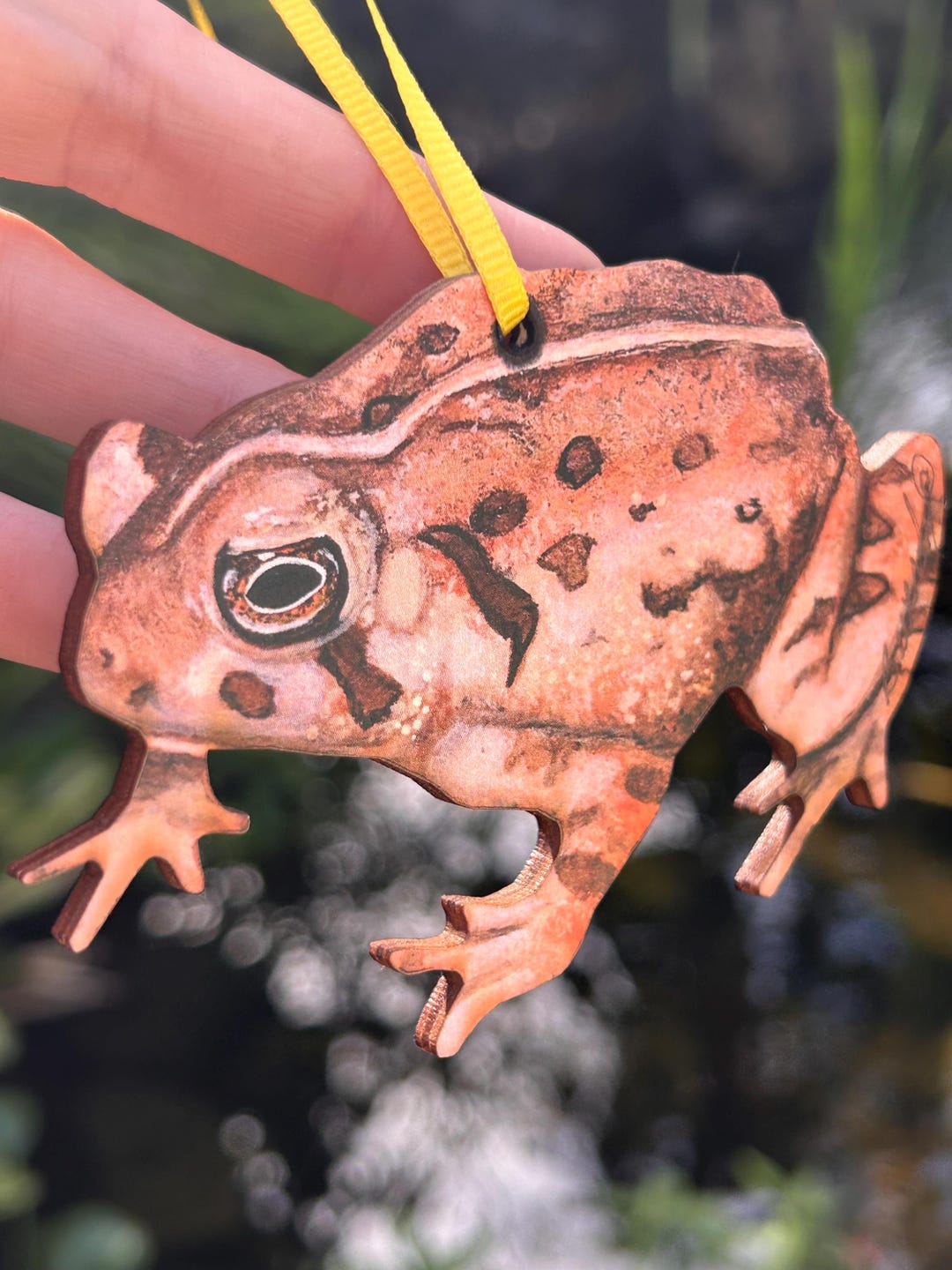 Toad, American, Southern Toad #5 Ornament - Etsy