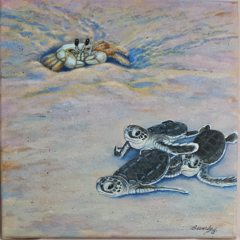Green Sea Turtle Hatchlings Sea Turtle Art Baby Sea Turtles Art Print ...