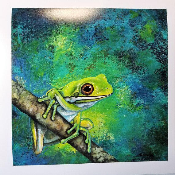 How To Draw A Green Tree Frog how-to-draw-a-green-tree-frog