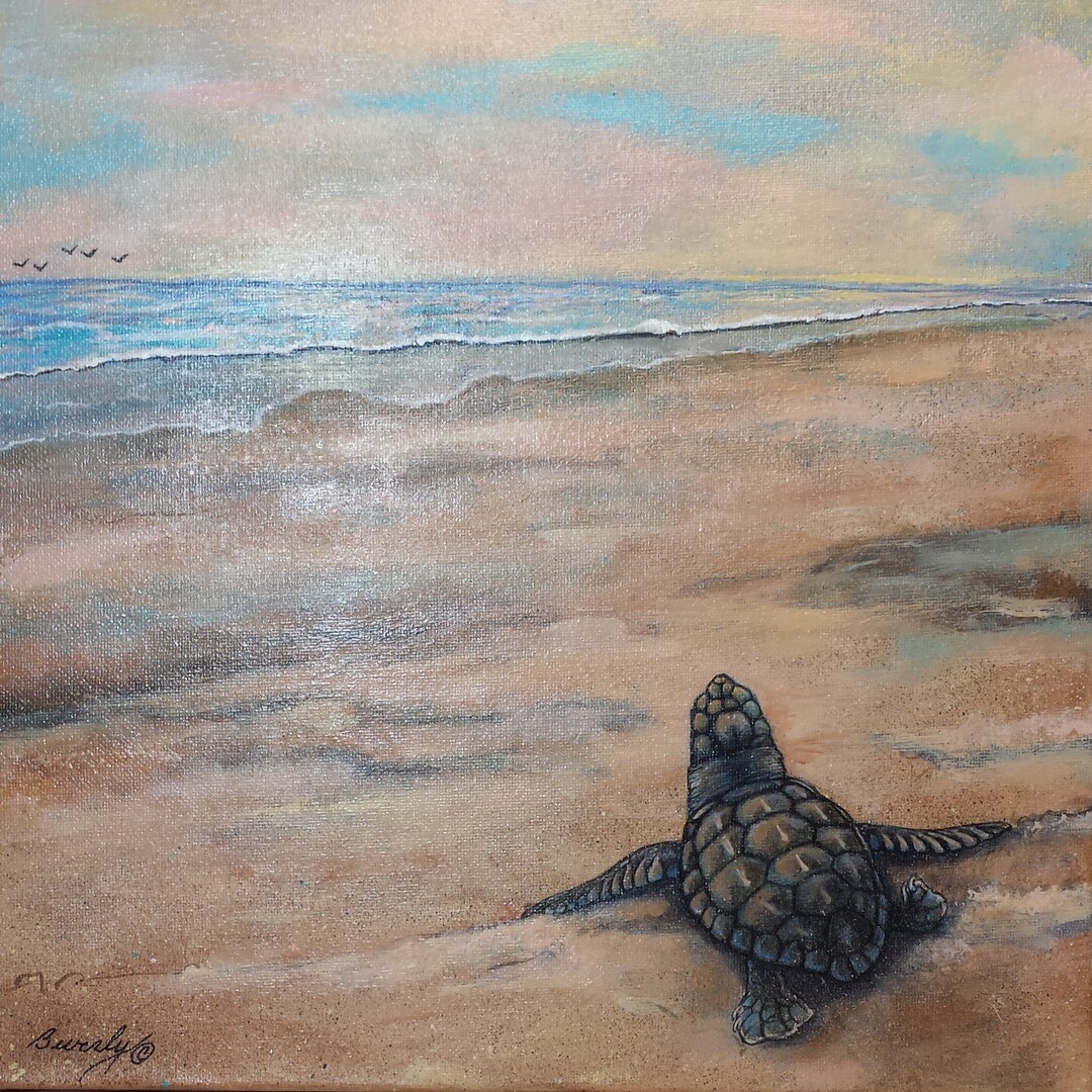 Loggerhead Hatchling; Baby Sea Turtle Art Print; Sea Turtle Art; Sea ...