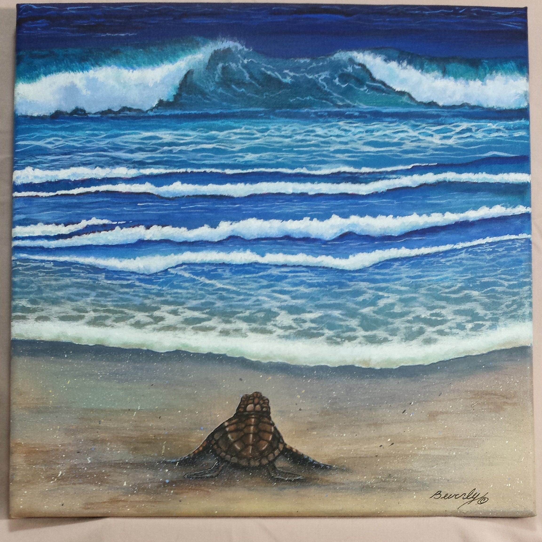 Loggerhead Hatchling Giclee Loggerhead Sea Turtle Art Print - Etsy