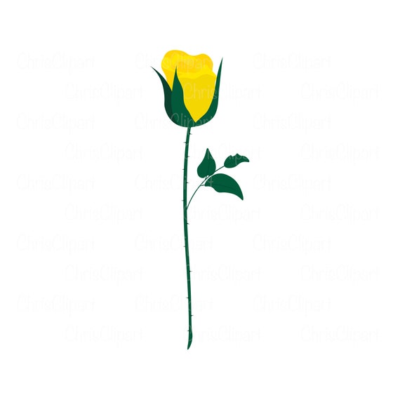 Single Yellow Roses Clipart