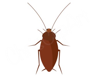 Roach Svg Png - Etsy