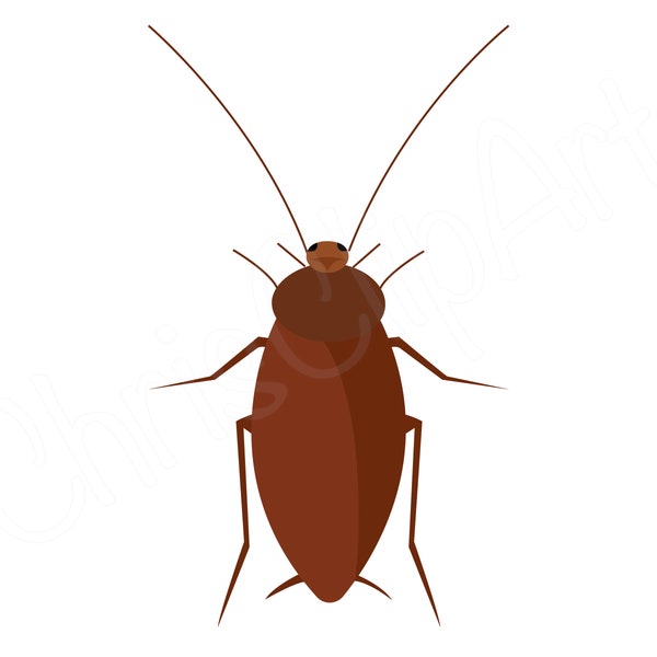 Cockroach Svg - Etsy