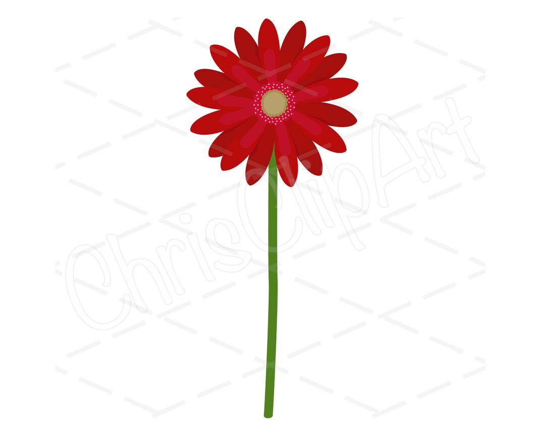 Gerbera Daisy SVG PNG JPG - Gerbera Daisy Sublimation - Daisy Cricut ...