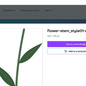 Flower Stem SVG PNG JPG - Flower Stem Sublimation - Bundle of 2 ...