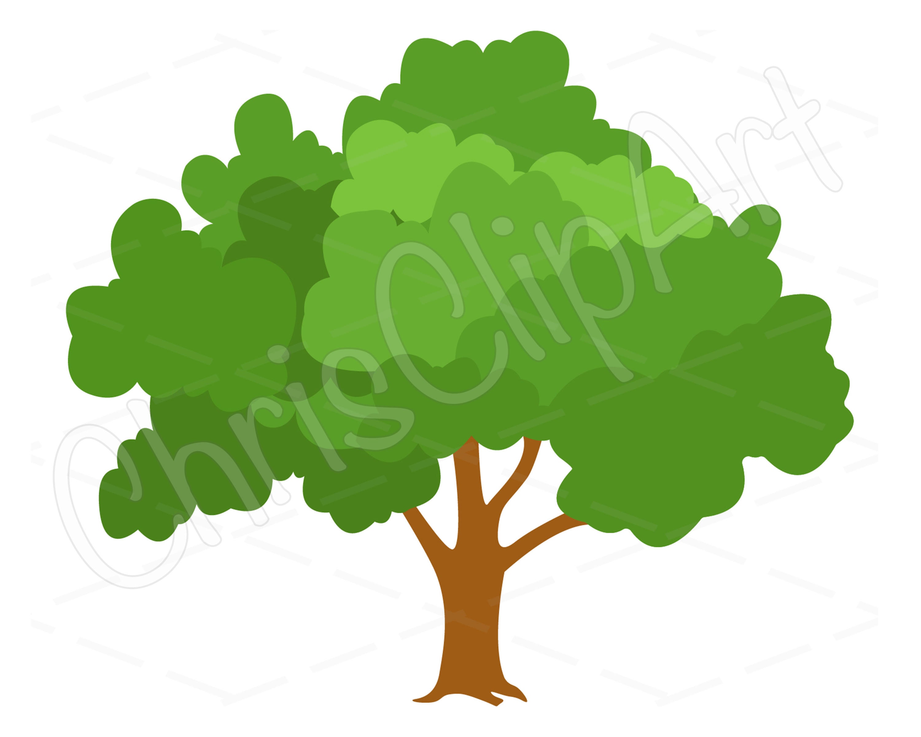 Oak Tree Clip Art Png