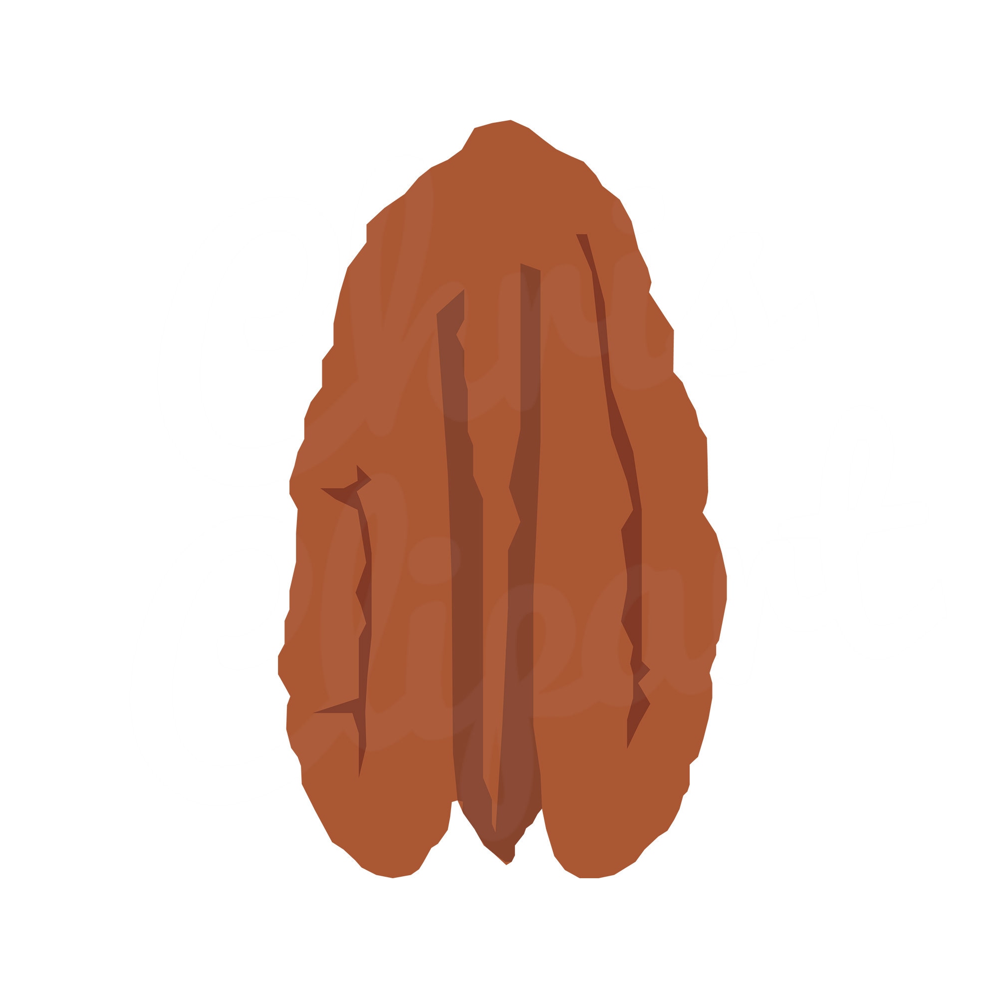 Pecan Svg Clipart Pecan Pecan Png Cricut Pecan Nut Svg - Etsy UK