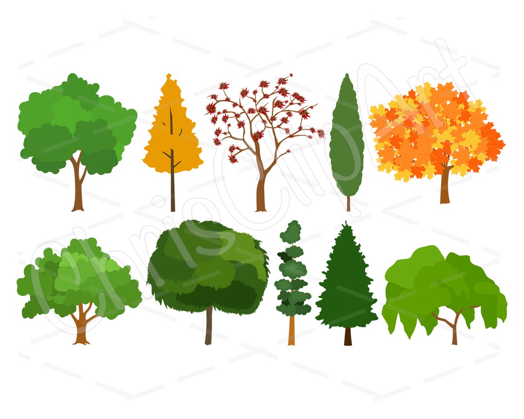 Tree Graphics Bundle - 10 Variations - SVG, PNG, JPG Formats - Maple ...