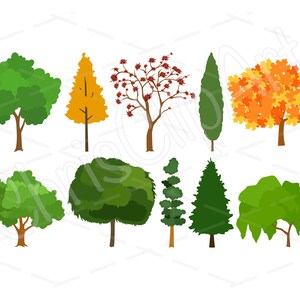 Tree Graphics Bundle - 10 Variations - SVG, PNG, JPG Formats - Maple ...