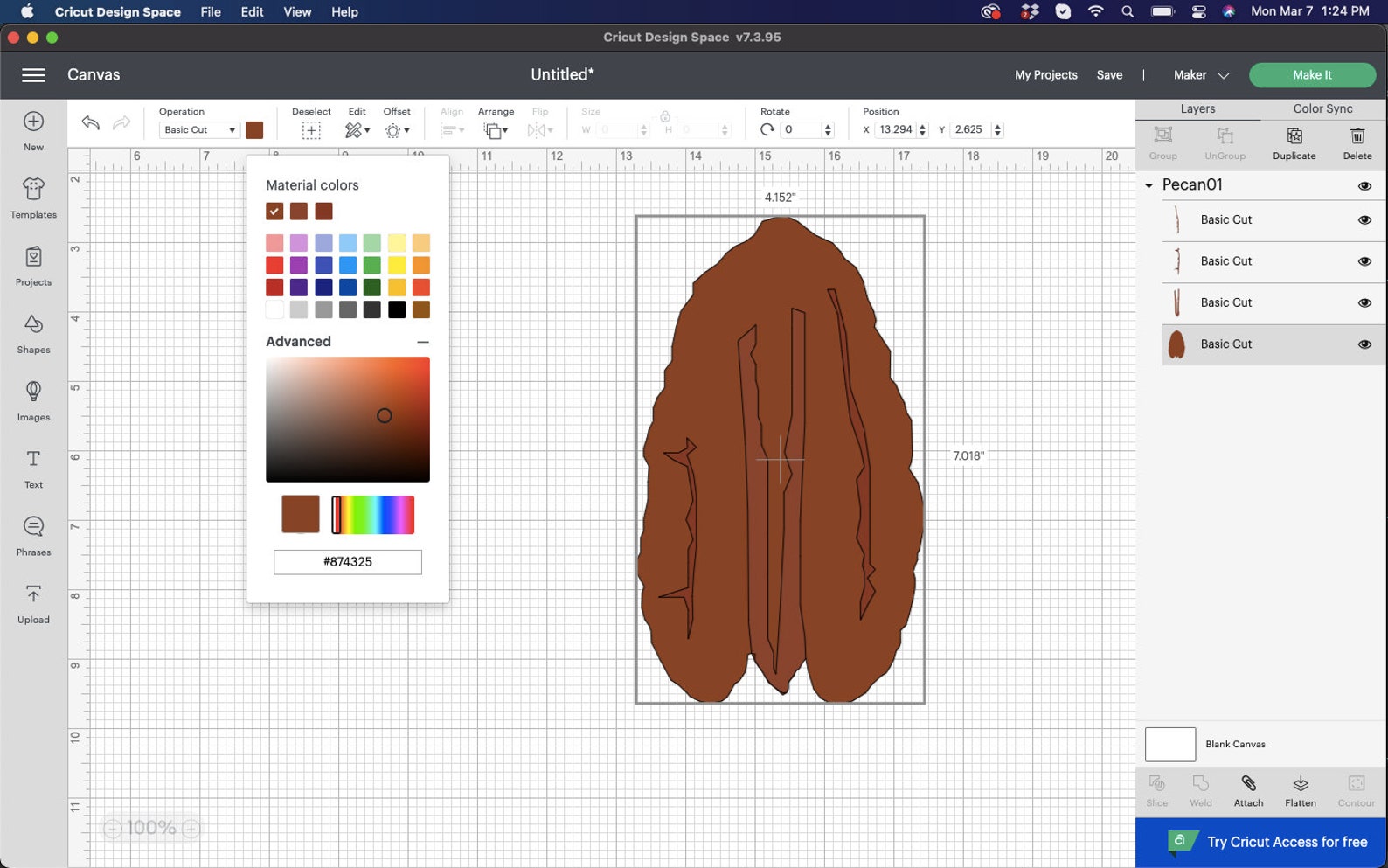 Pecan Svg Clipart Pecan Pecan Png Cricut Pecan Nut Svg - Etsy