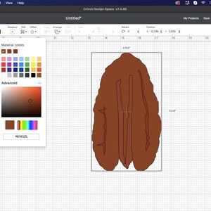 Pecan Svg, Clipart Pecan, Pecan Png, Cricut Pecan, Nut Svg, Nuts Svg ...
