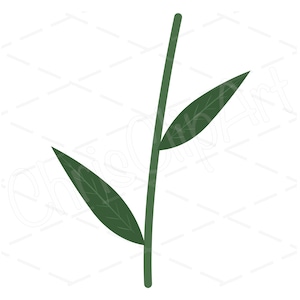 Flower Stem SVG PNG JPG - Flower Stem Sublimation - Bundle of 2 ...