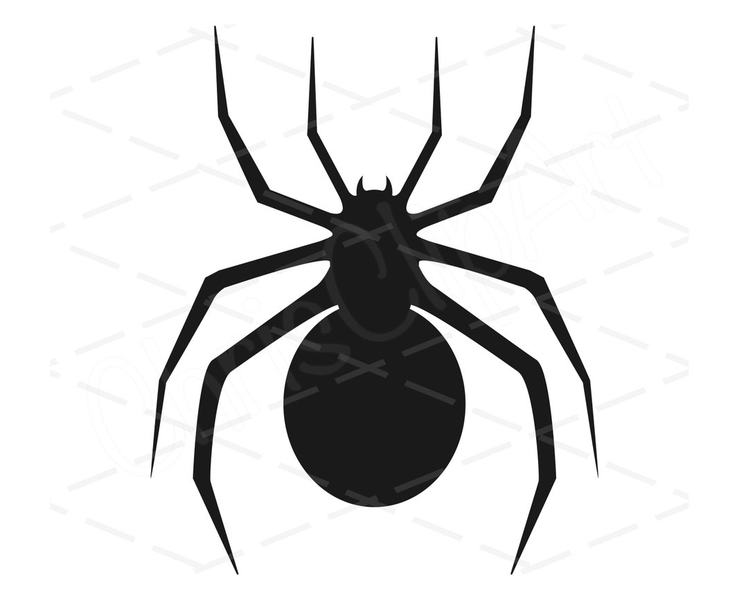 Spider SVG PNG JPG Spider Clipart Spider Cricut Printable Spider Vector ...