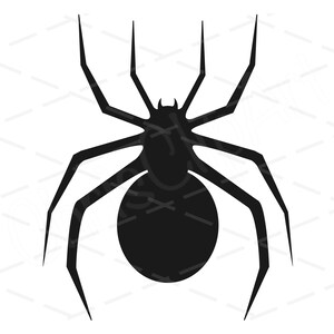 Spider SVG PNG JPG Spider Clipart Spider Cricut - Etsy