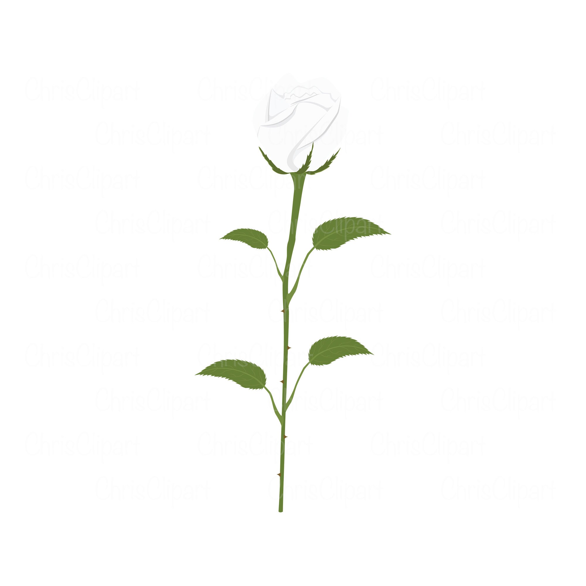 Single Stem Rose Clip Art