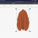 Pecan Svg, Clipart Pecan, Pecan Png, Cricut Pecan, Nut Svg, Nuts Svg ...