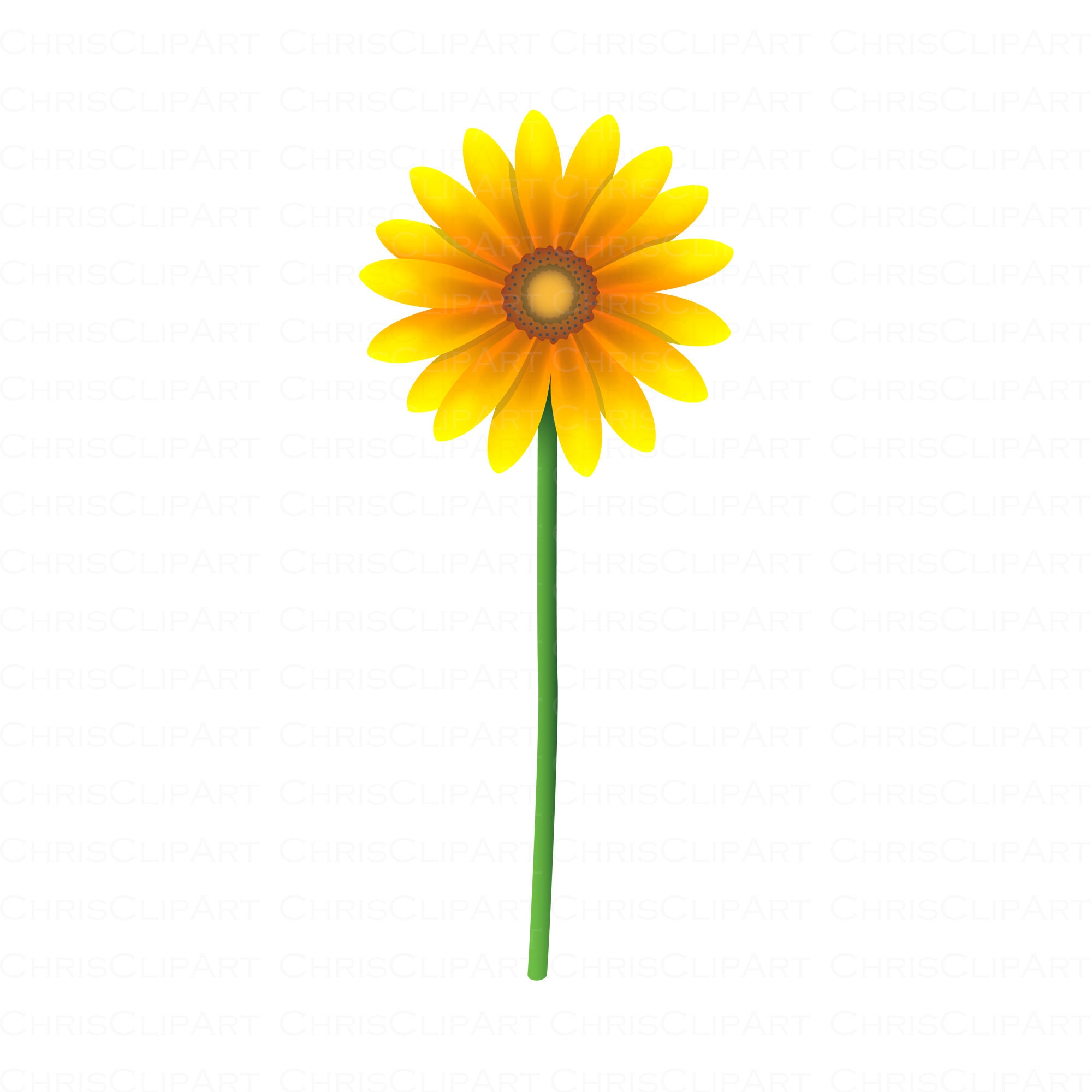 Single Daisy Clipart