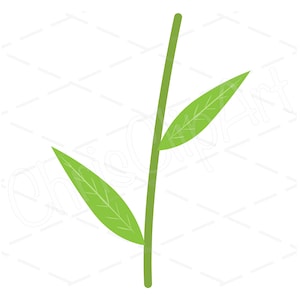 Flower Stem SVG PNG JPG - Flower Stem Sublimation - Bundle of 2 ...