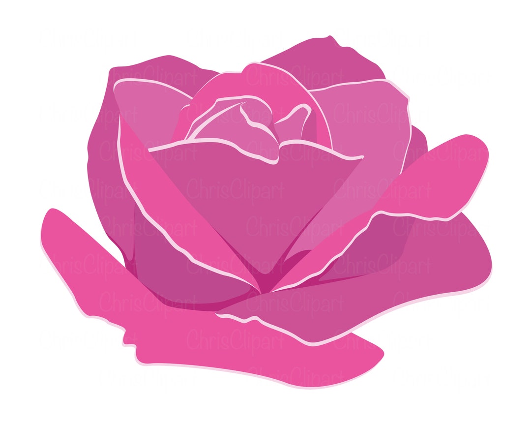 Rosebud Svg Rosebud png Rosebud Clipart Rosebud Cricut - Etsy Schweiz