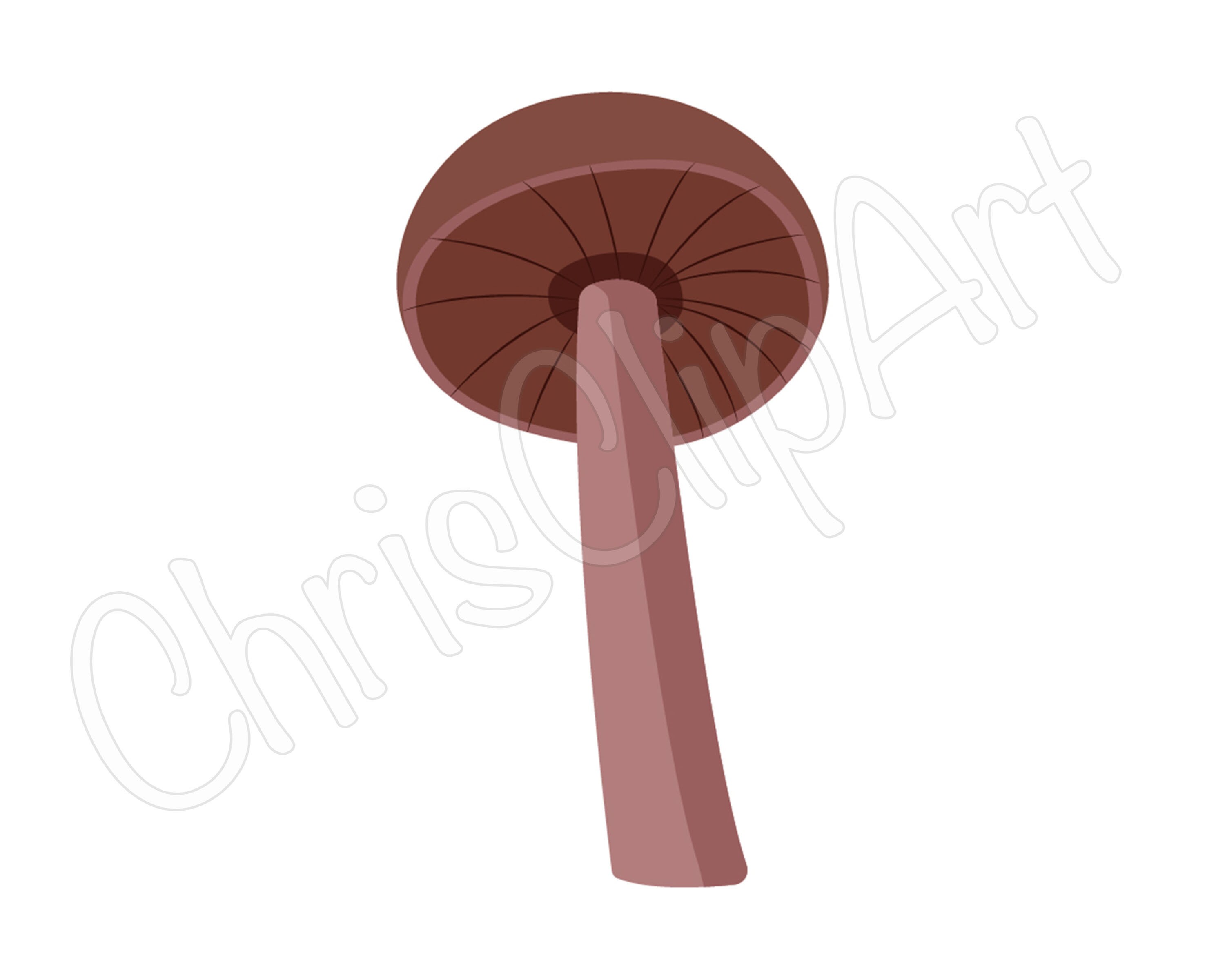 MUSHROOM SVG Mushroom Png Mushroom Clipart Mushroom Cricut - Etsy