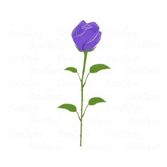 Free Lavendar Rose Clipart