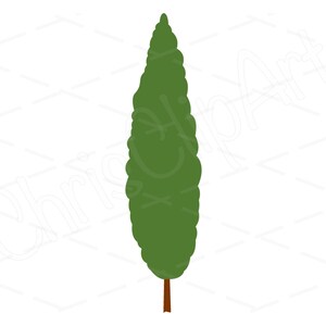 Cypress Tree Clipart High-quality SVG PNG JPG Formats - Etsy