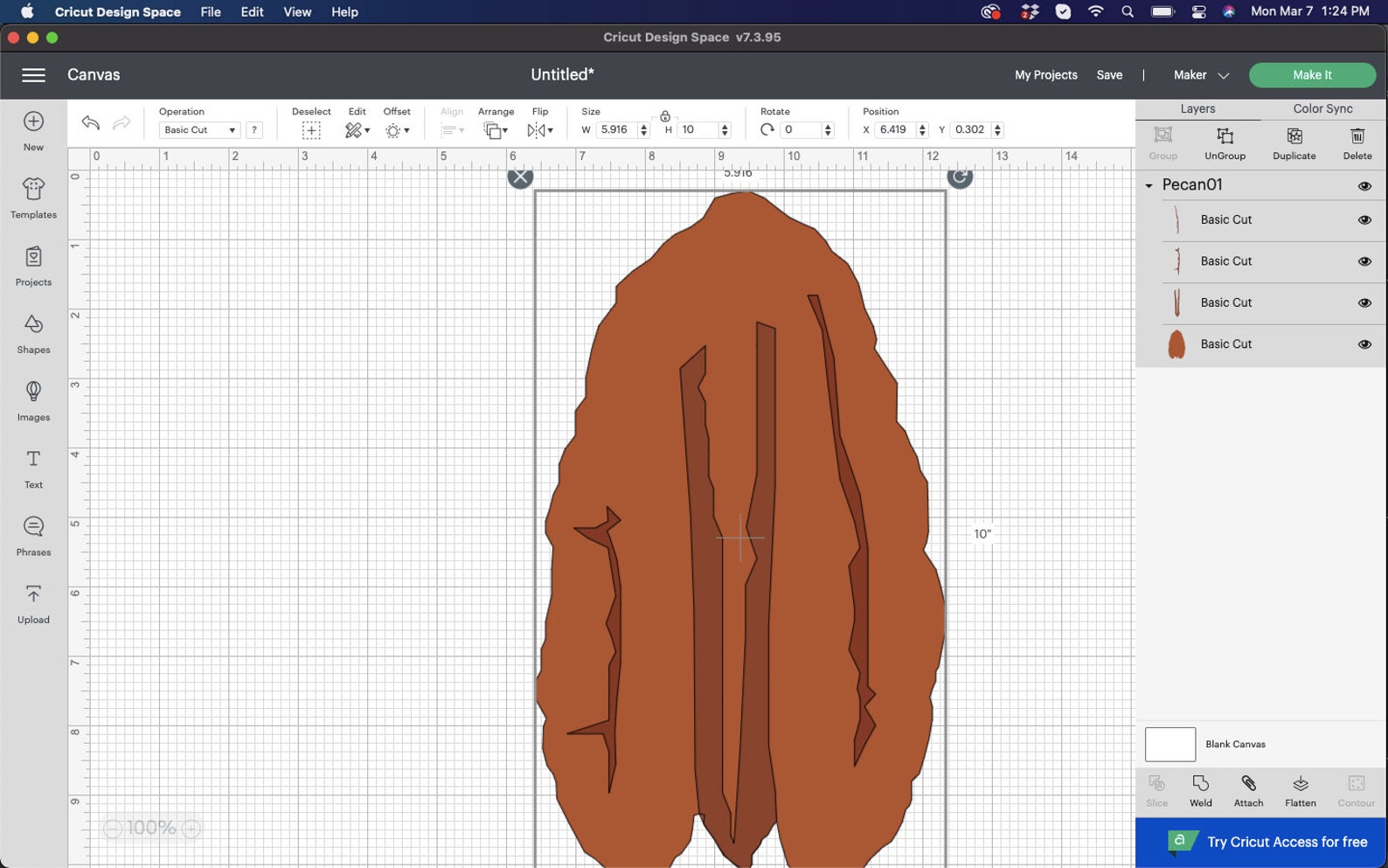 Pecan Svg Clipart Pecan Pecan Png Cricut Pecan Nut Svg - Etsy