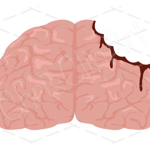 Zombie Brain SVG PNG JPG Bite Out of Brain Clipart Goth - Etsy