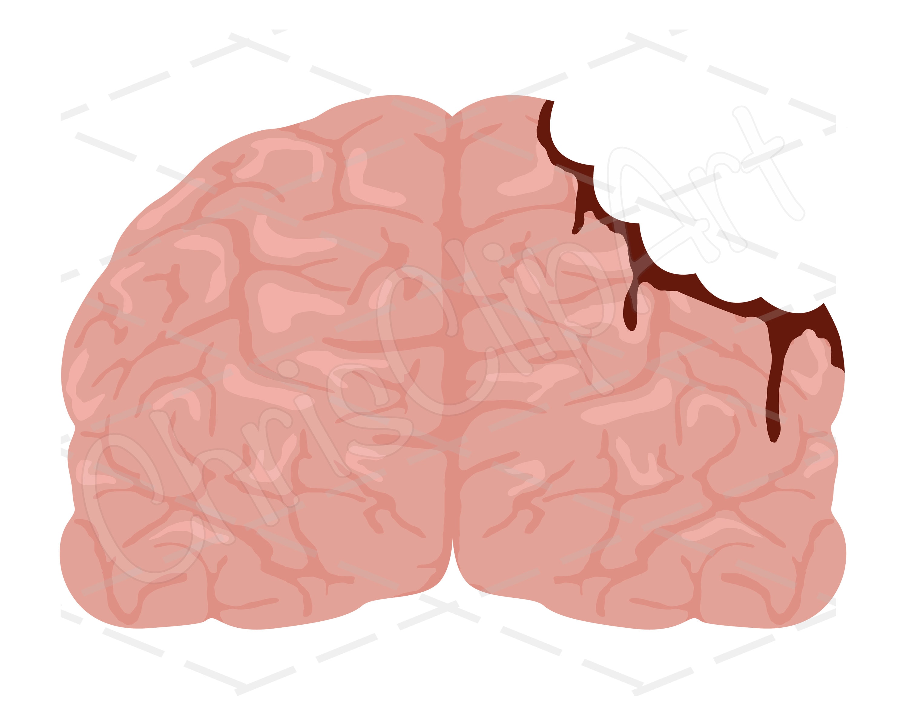 Zombie Cartoon Brains