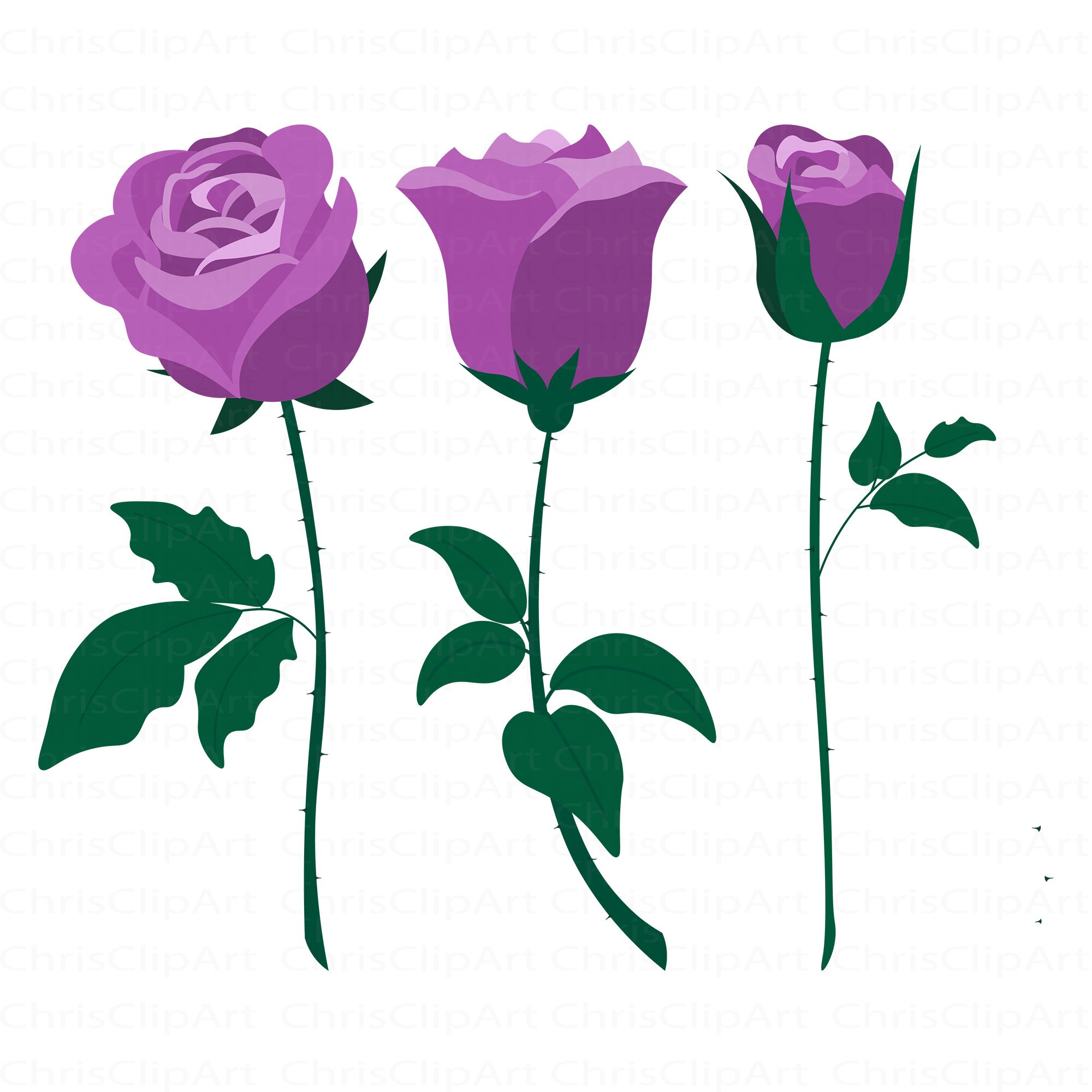 Roses Svg Roses Clipart Cricut Rose Roses Graphic Roses - Etsy