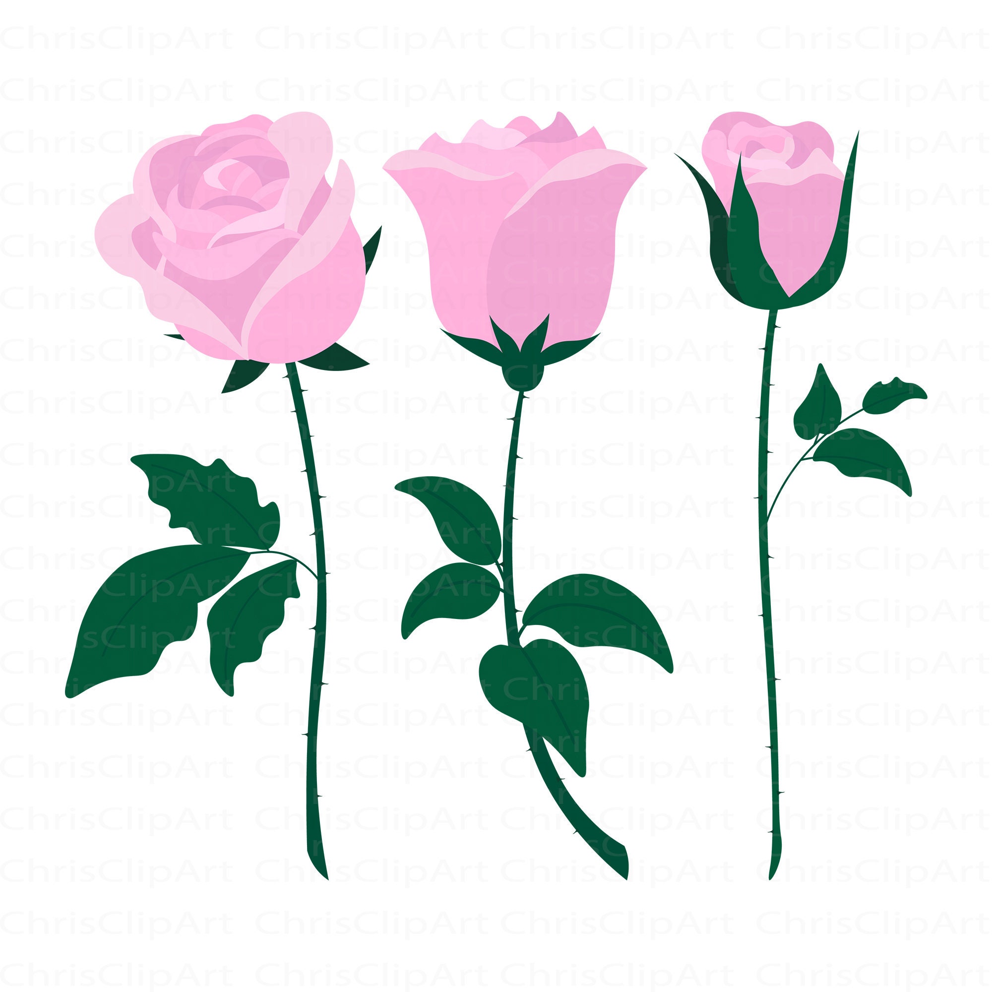 ROSE SVG BUNDLE Roses Svg Rose Svg Rose Png Rose Vector - Etsy Canada