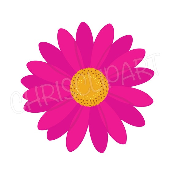 Gerber Daisy Vector