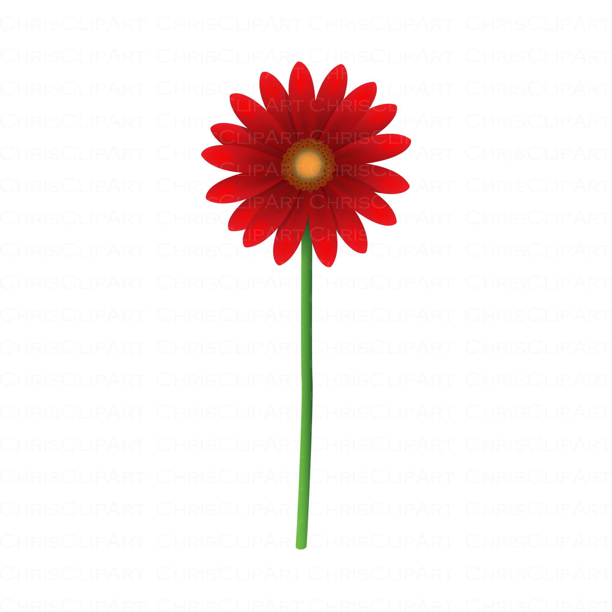 Red Daisy Clipart