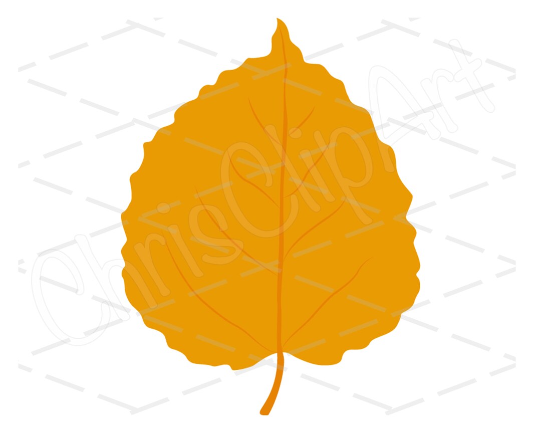 Aspen Tree Leaf Clipart High-quality SVG PNG JPG Formats - Etsy