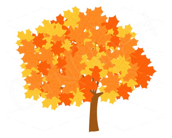 Maple Tree Clip Art