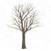 Tree Branch SVG PNG JPG Branch Clipart for Cricut and Sublimation ...
