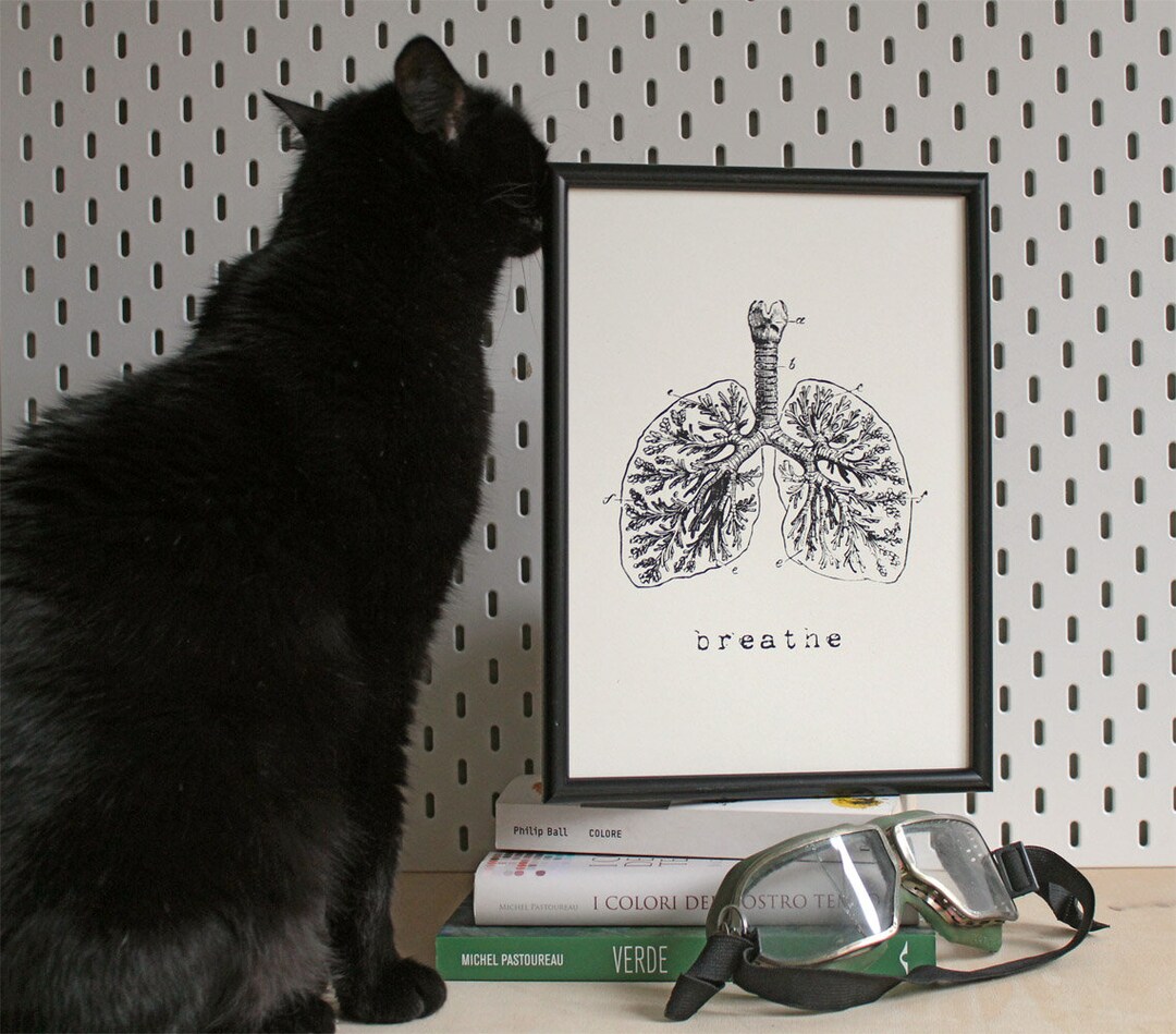 Stampa BREATHE polmoni - Etsy Italia