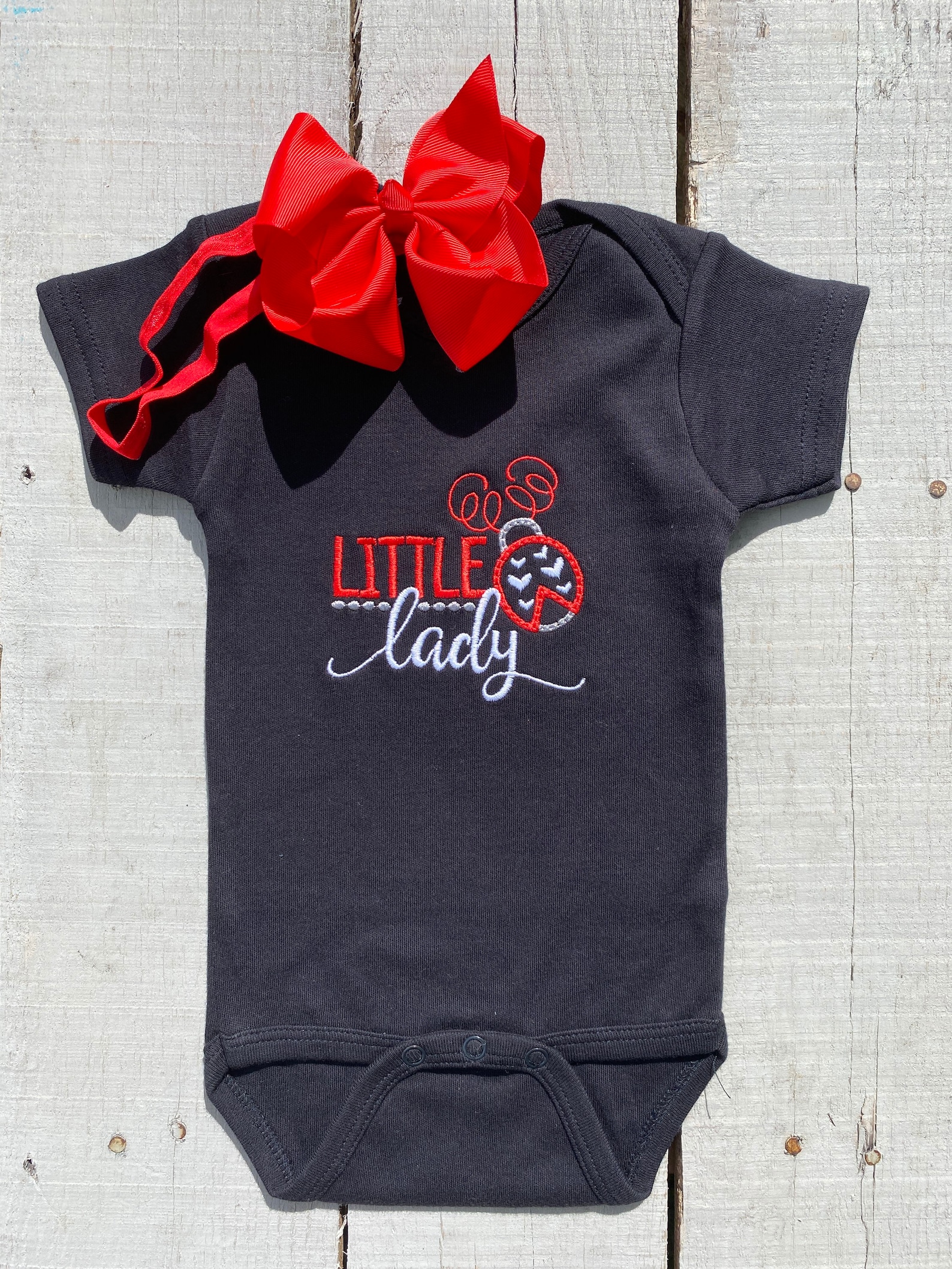 Little Lady Bug Baby Girl Clothing Set Embroidered Bodysuit | Etsy