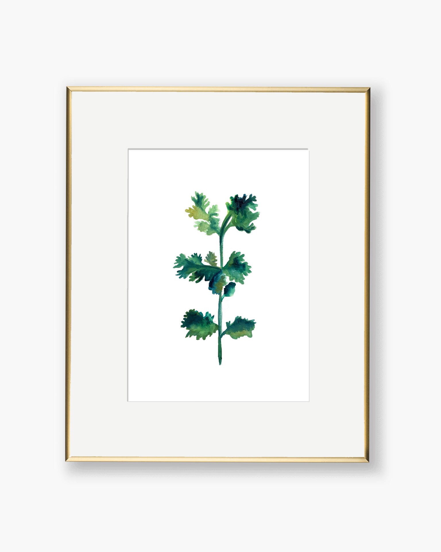 Cilantro Watercolor Print - Etsy