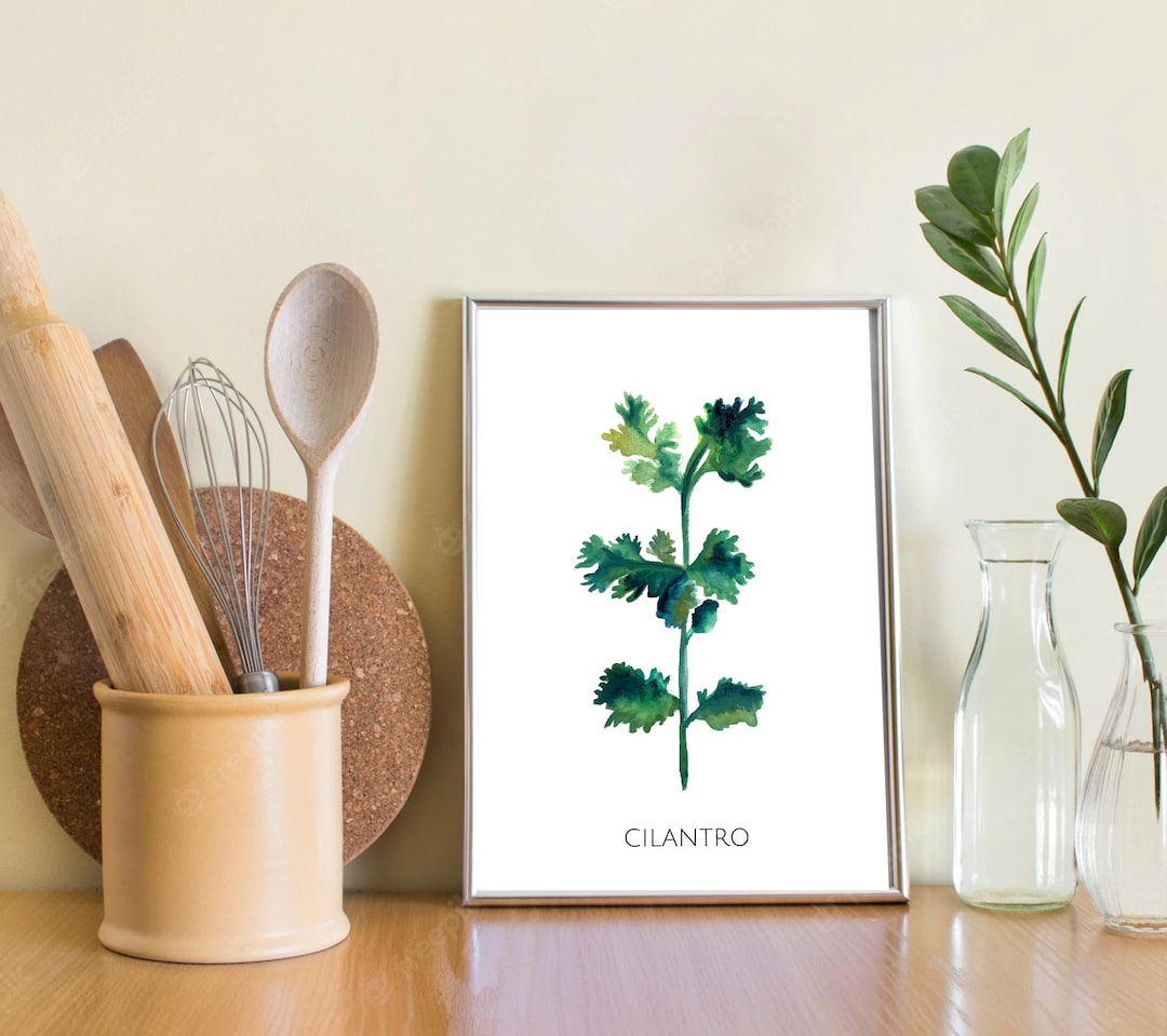 Cilantro Watercolor Print - Etsy