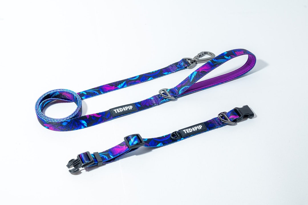 Purple Flower Dog Collar and Lead Set – Ted & Pip Designer Pet Lead - Etsy