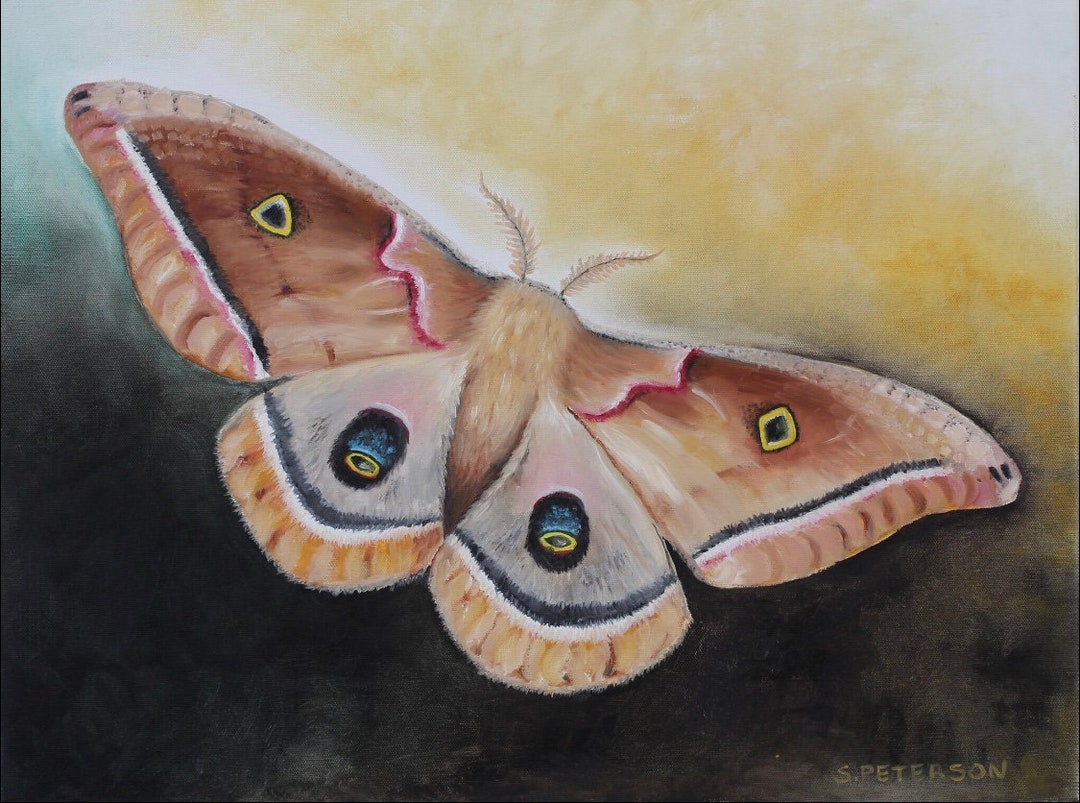 Polyphemus Moth Giclee Print “finding Light” - Etsy