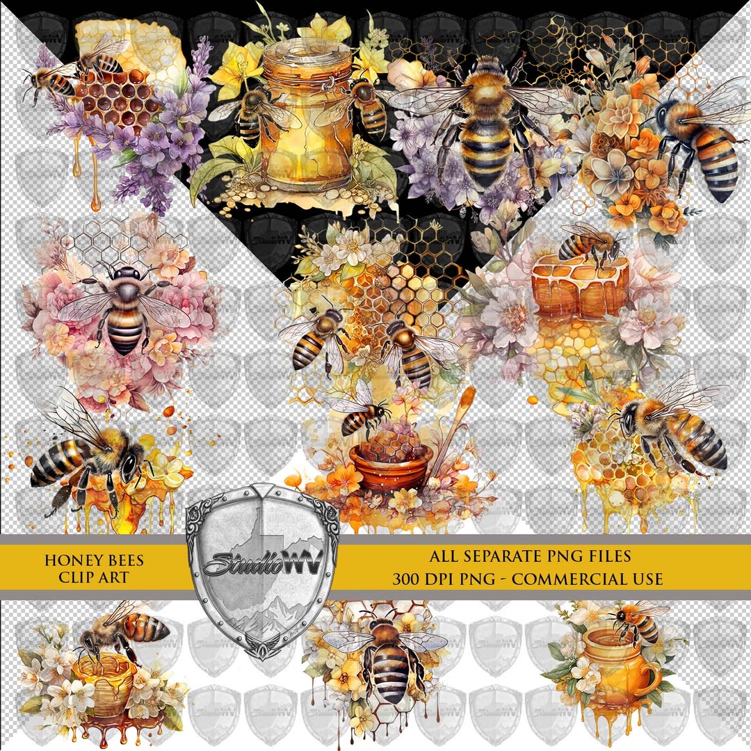 Watercolor Honey Bee Clipart Spring Floral and Honey PNG Transparent ...